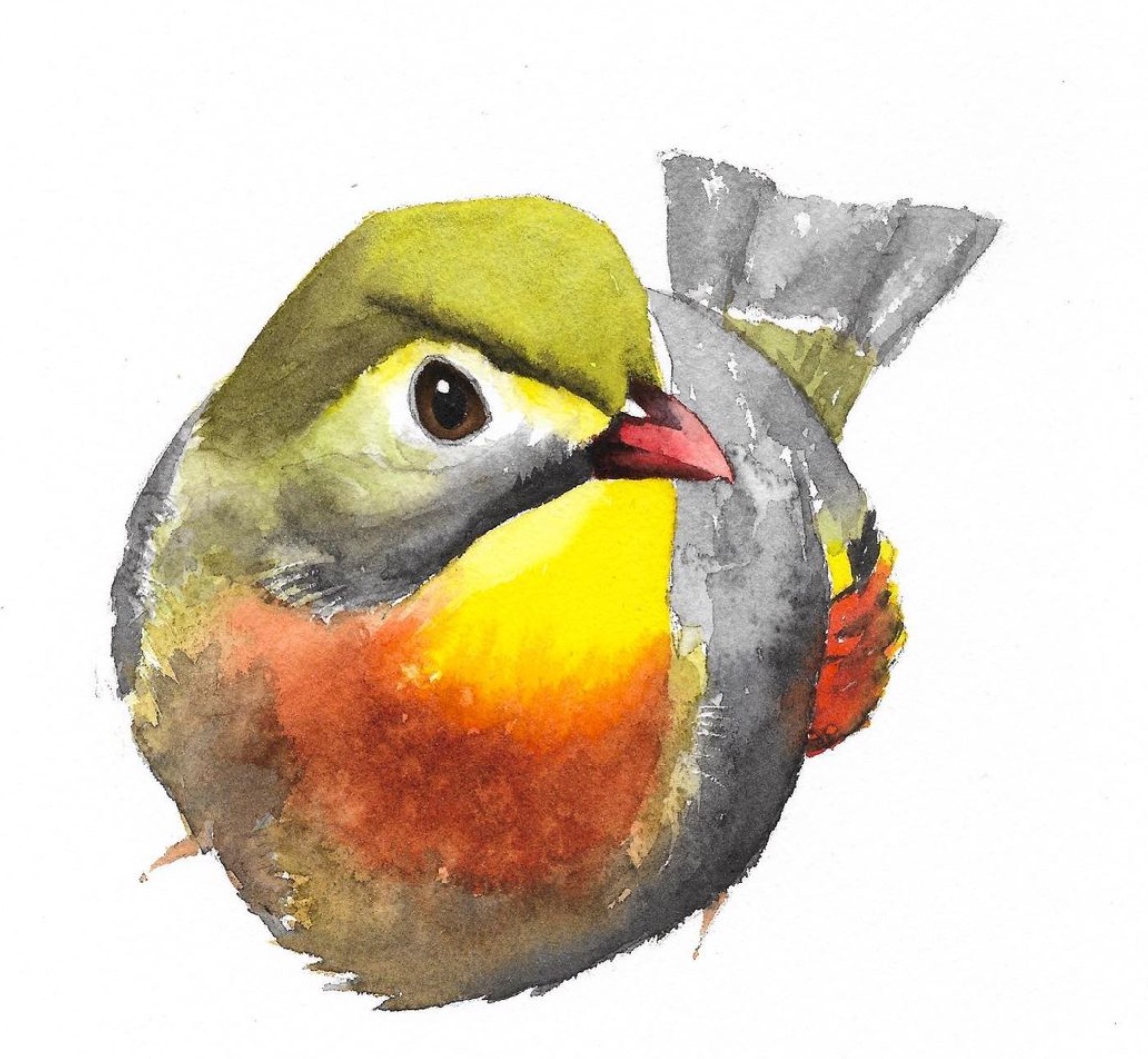 Ian de Hoog - Capturing Birds in Watercolor (Online); Saturdays ...