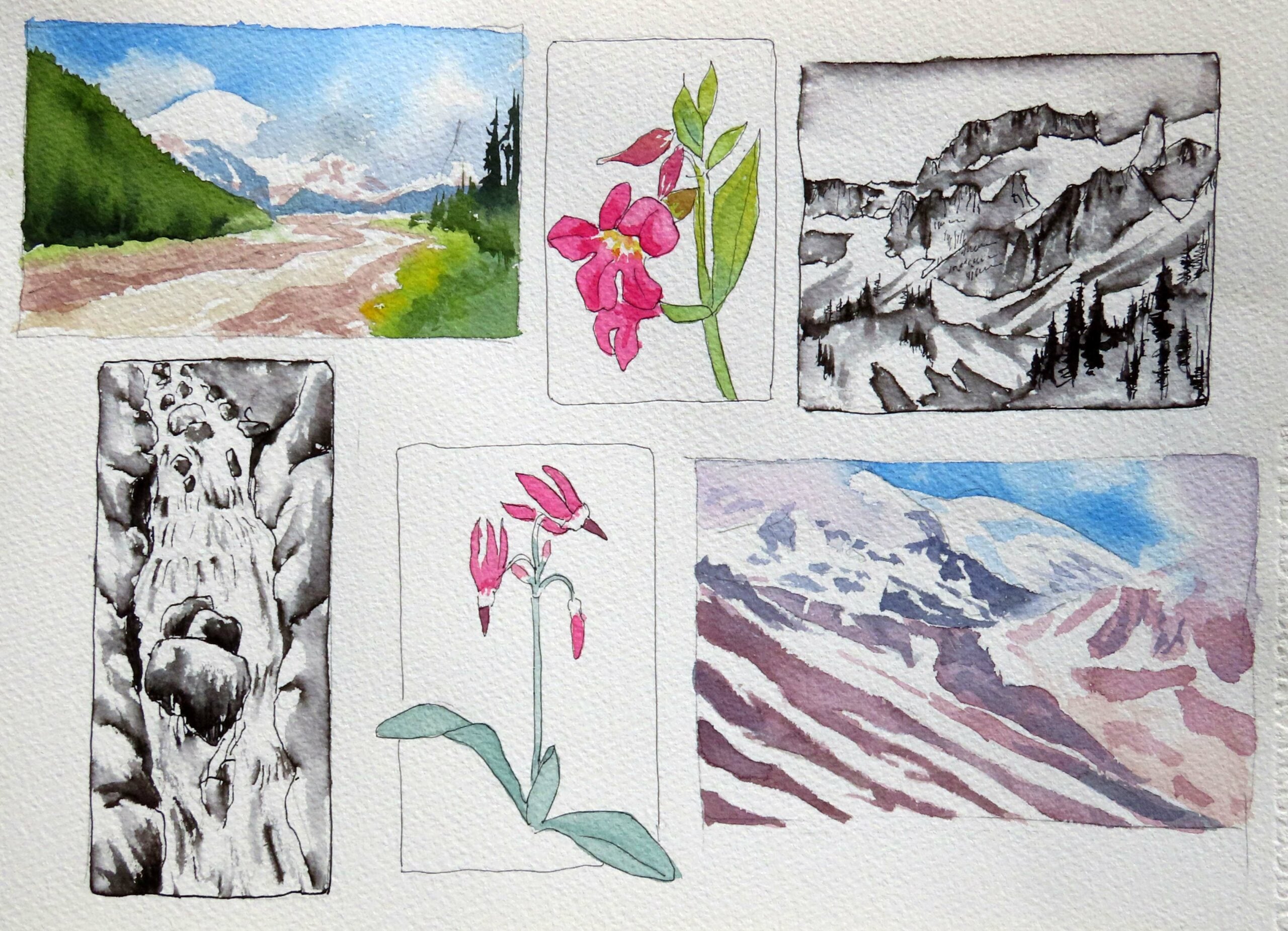 Molly Hashimoto - Watercolor Nature Journal: Landscapes and Natural ...