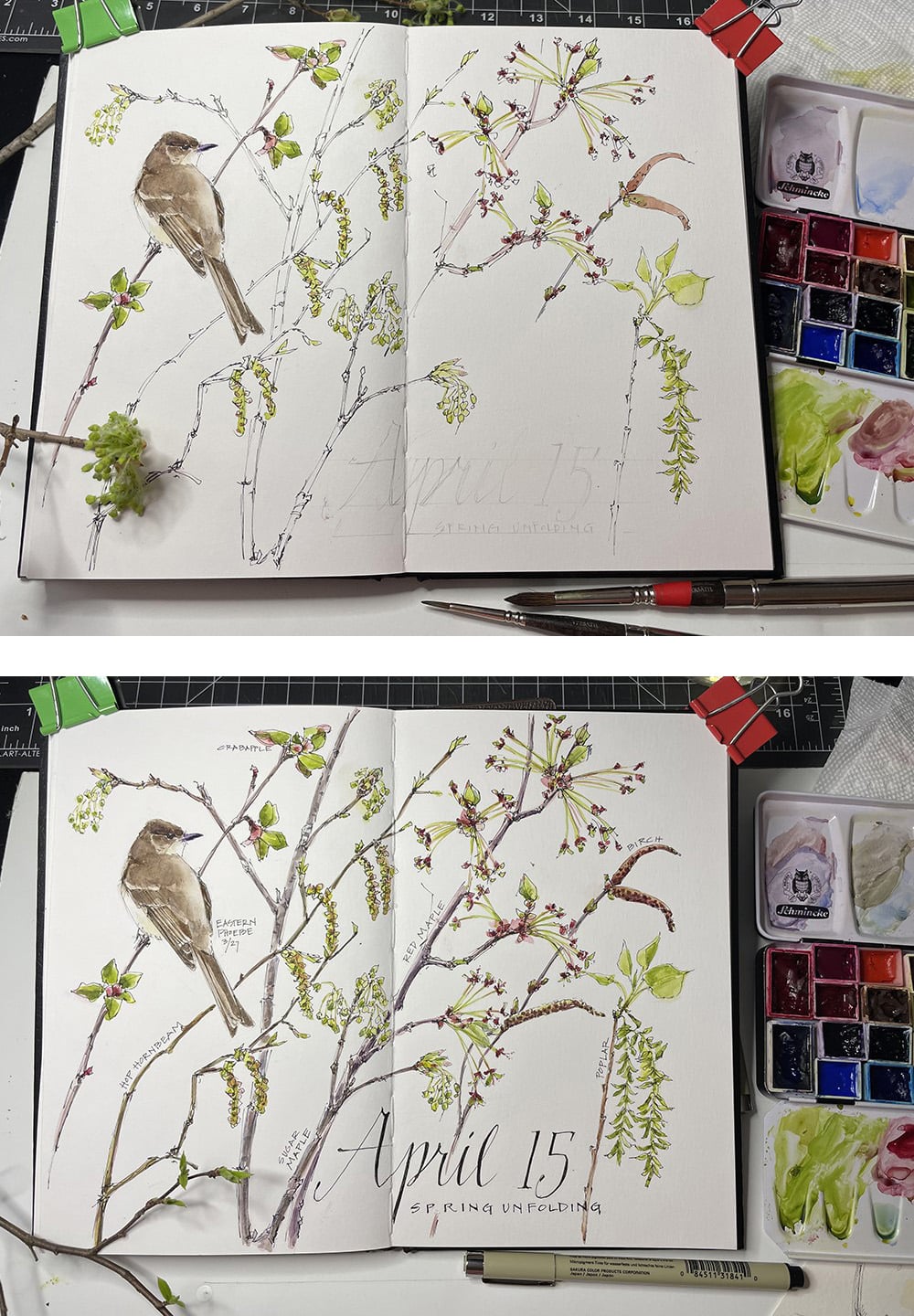 Jean Mackay – Sketching Spring Unfolding - Winslow Art Center