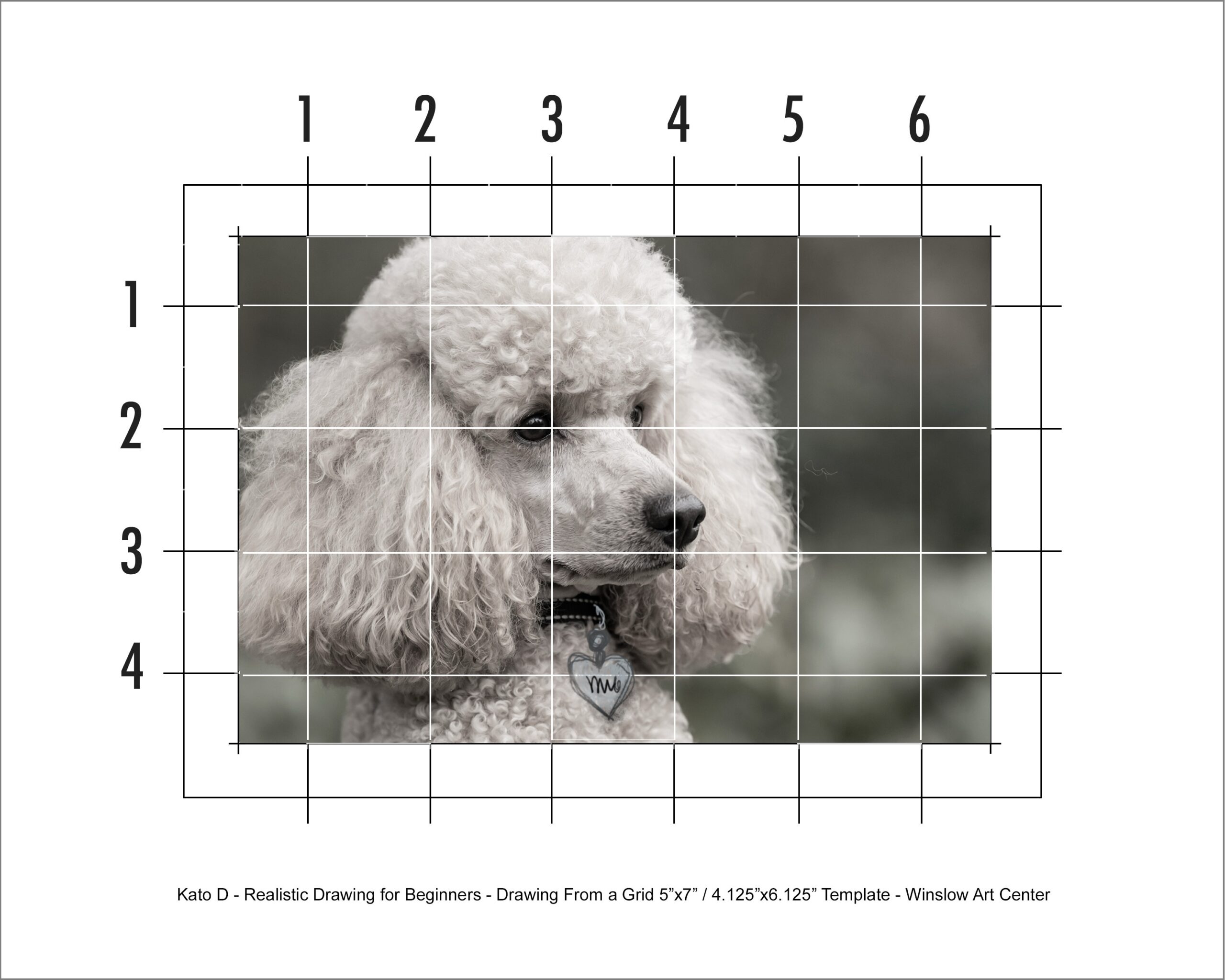 Kato D - Realistic Drawing for Beginners - Drawing from a Grid - Poodle ...