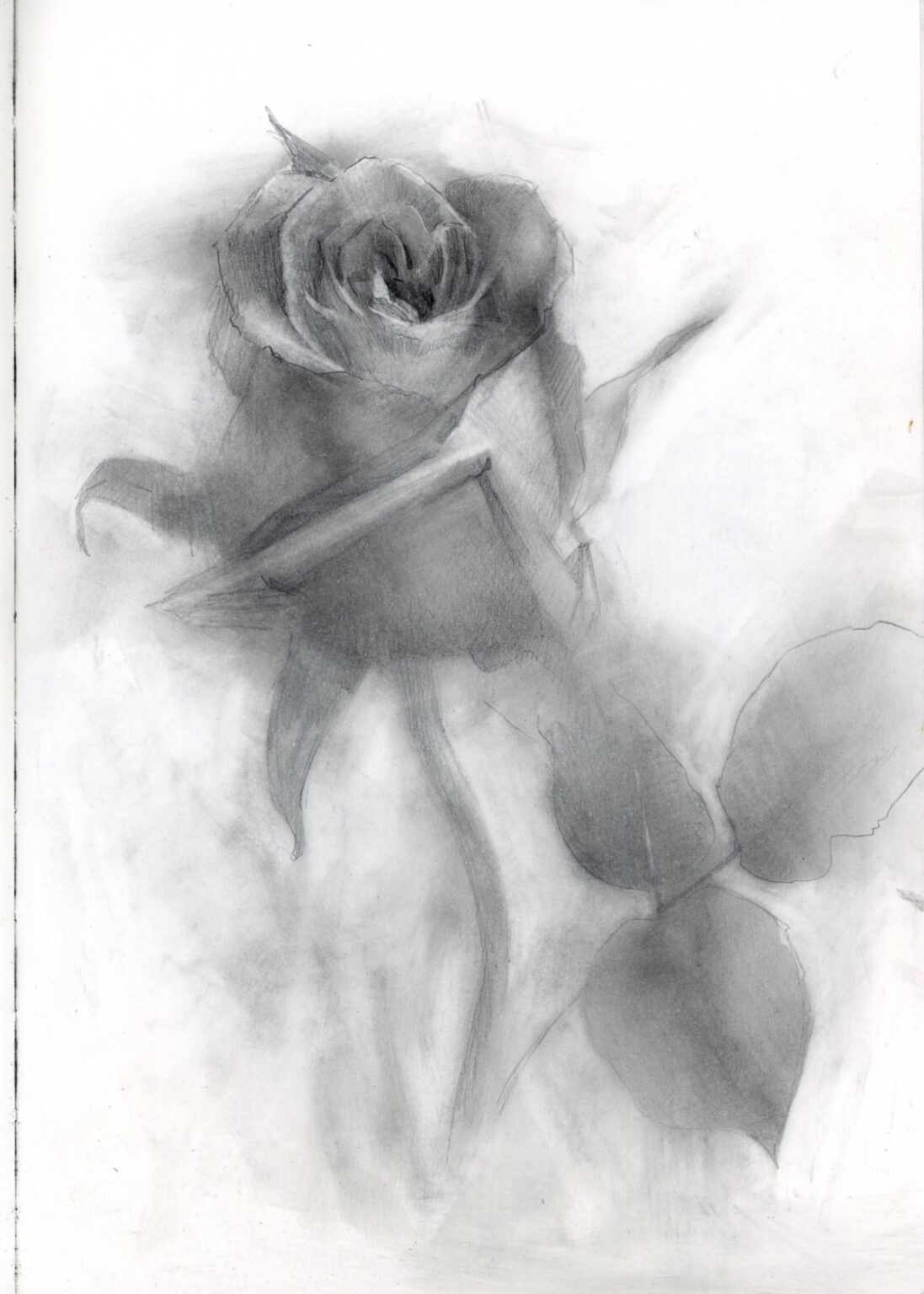 Catherine Bobkoski - Painterly Drawing Techniques with Pastel ...